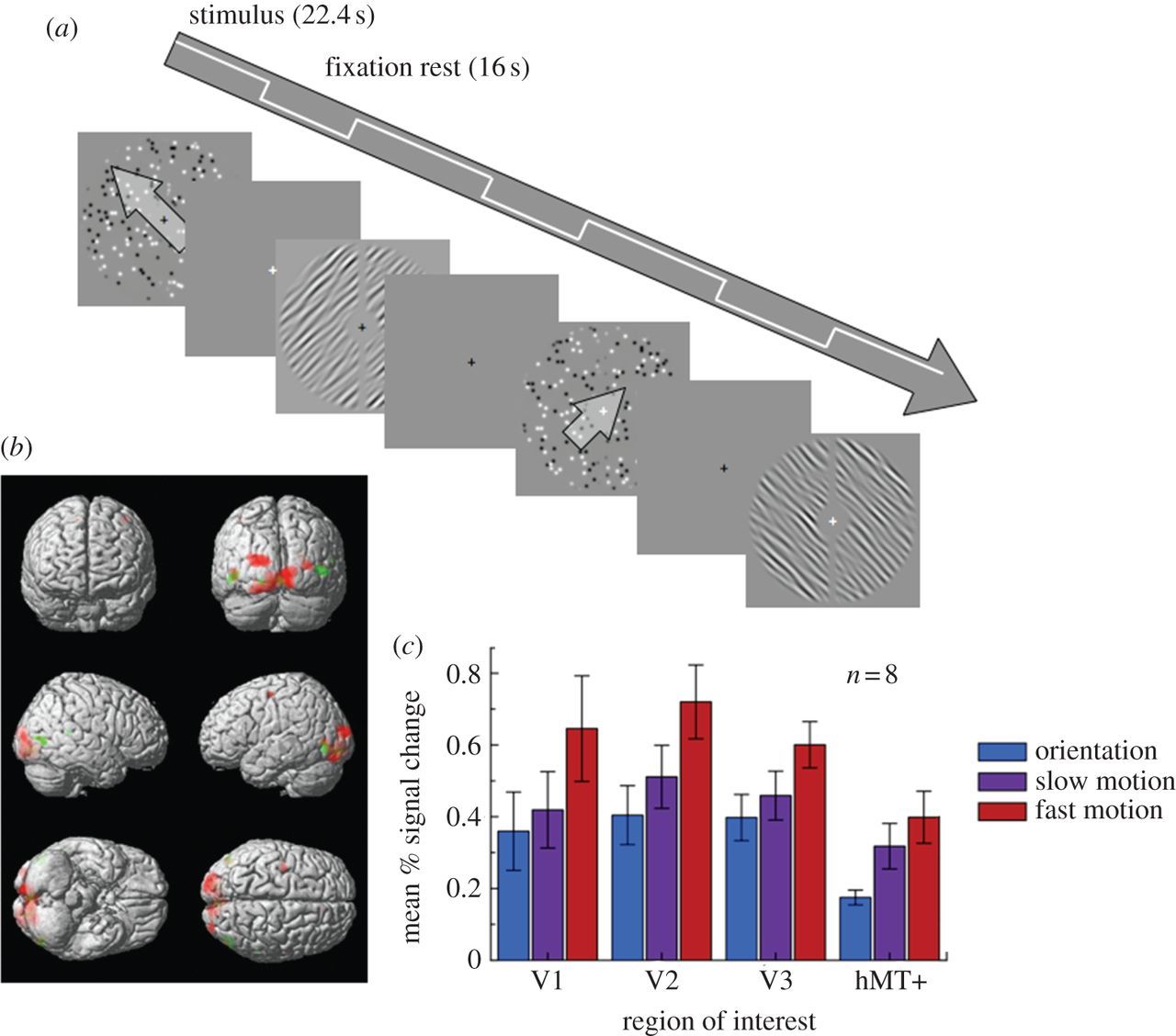 Direct evidence for encoding of motion streaks in human visual cortex ...