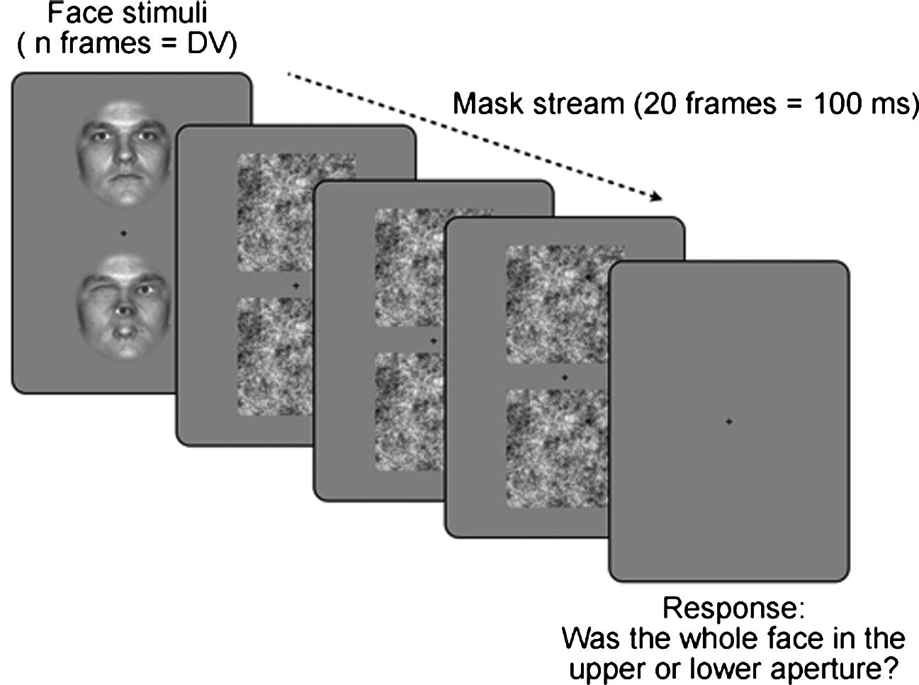 The role of holistic processing in face perception: Evidence from the face inversion effect ...